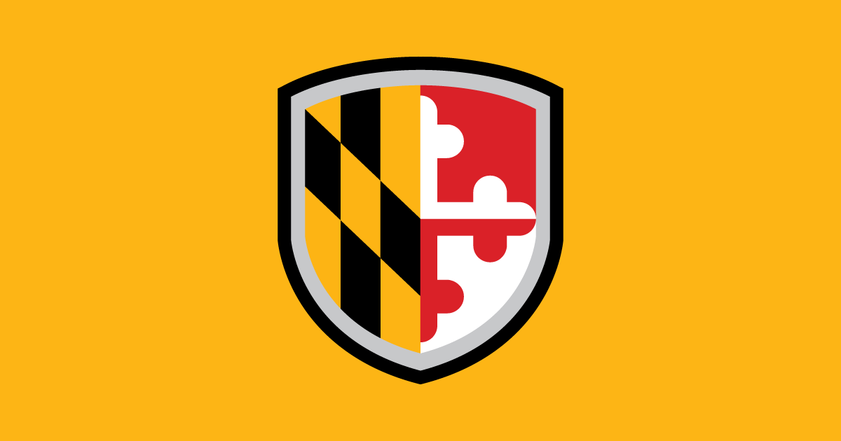 Website Design and Management – Research Graphics – UMBC